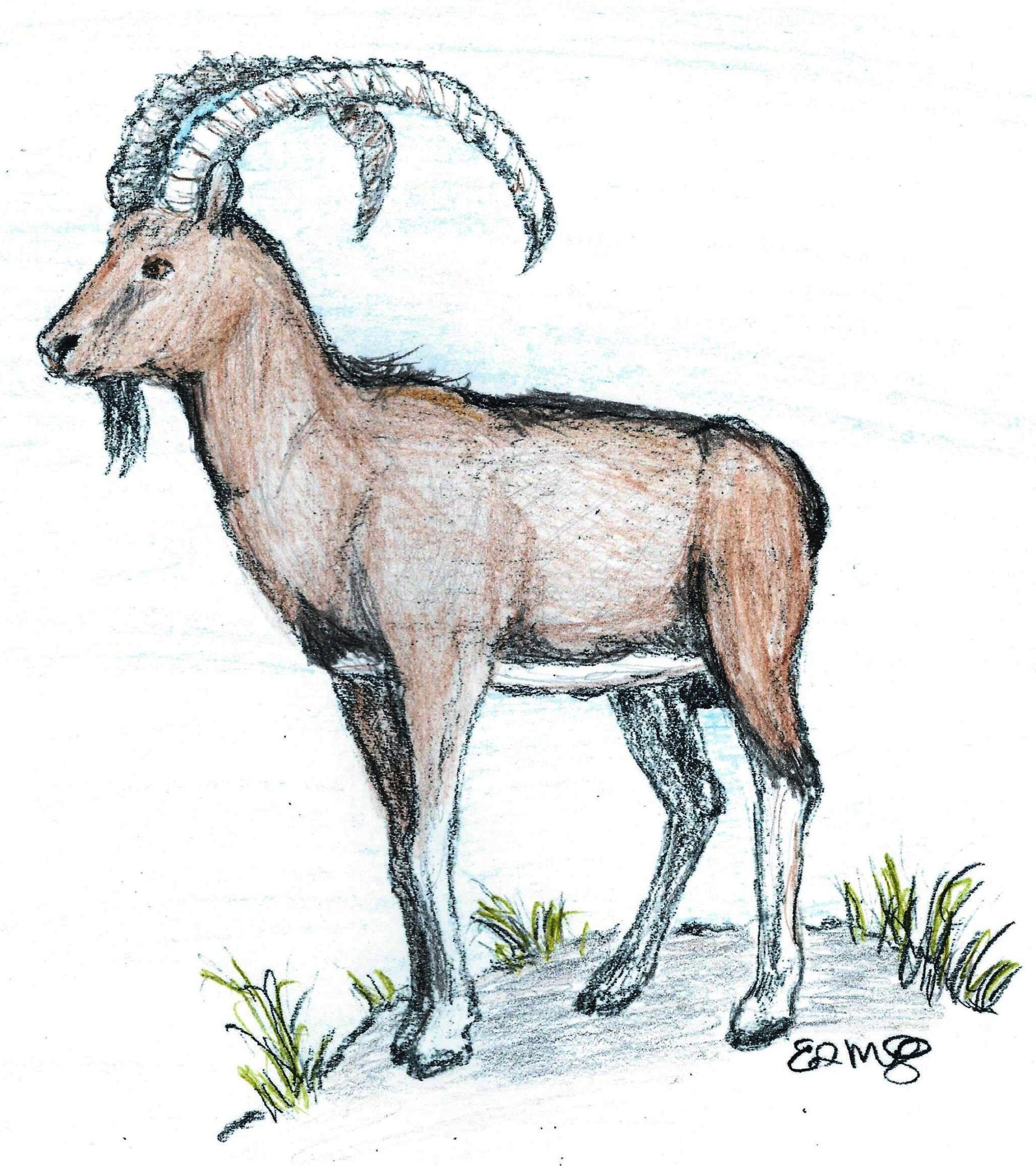 A Day in the Life in a Neanderthal Clan | Dreamer Books: An Ice Age Saga