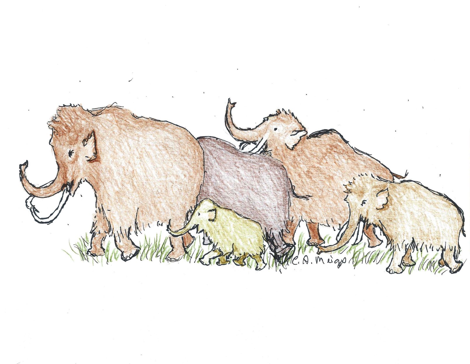 For Children - Dreamer Books: An Ice Age Saga